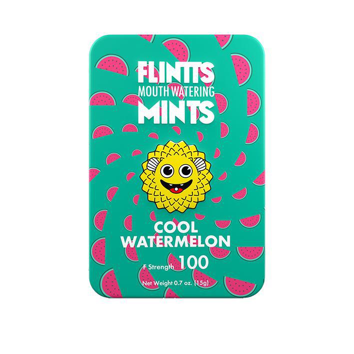 Flintts Mints – Cool Watermelon | Economy Candy